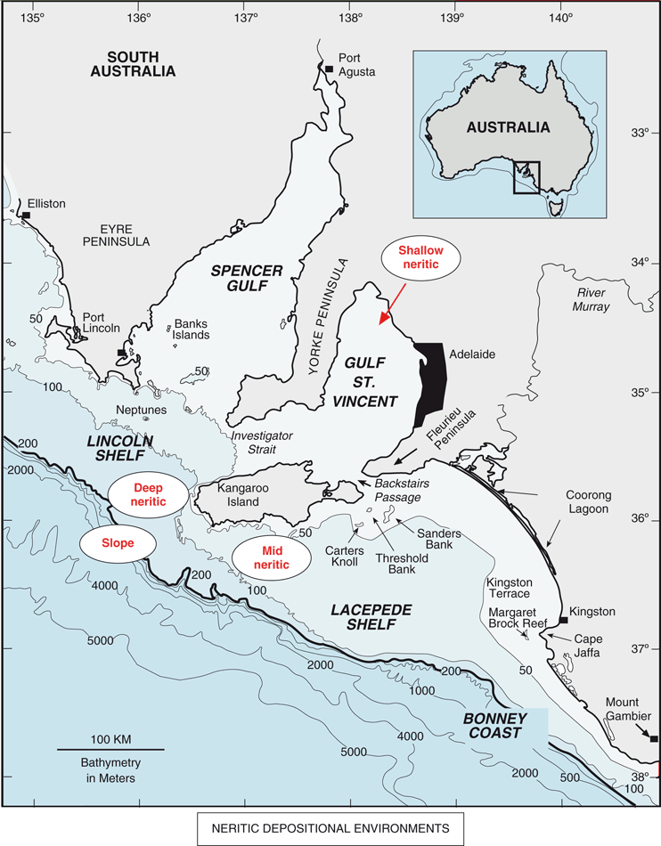 Neritic Depositional Environments | SpringerLink