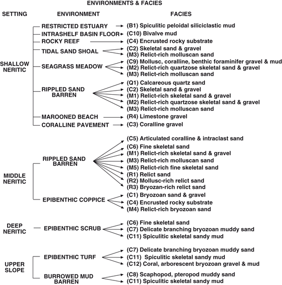 Neritic Depositional Environments | SpringerLink