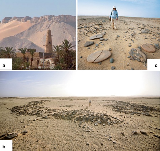 The Desertification of the Egyptian Sahara during the Holocene (the ...