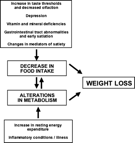 Muscle Wasting in Cancer and Ageing: Cachexia Versus Sarcopenia ...