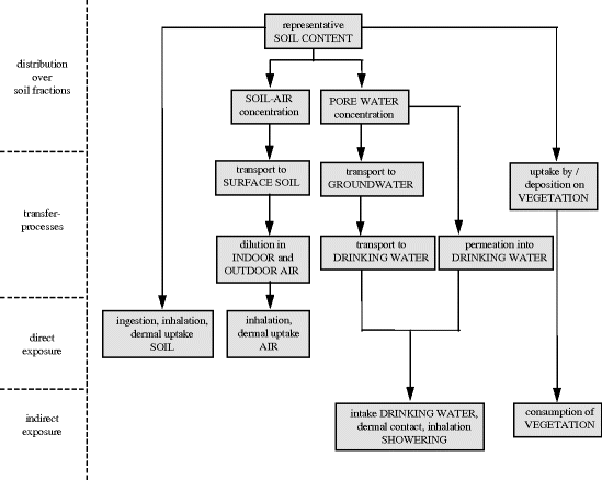 Human Health Risk Assessment | SpringerLink