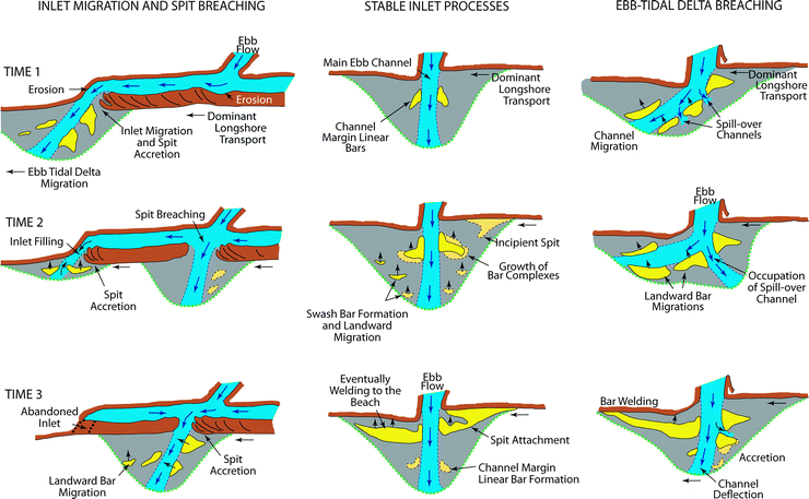 Morphodynamics and Facies Architecture of Tidal Inlets and Tidal Deltas ...