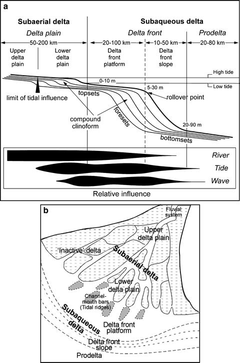 Tide-Dominated Deltas | SpringerLink