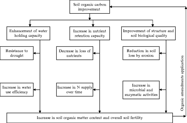 Long-Term Effects of Organic Amendments on Soil Fertility | SpringerLink