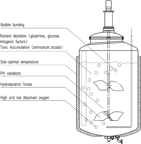 Bioreactor Systems for Producing Antibody from Mammalian Cells ...