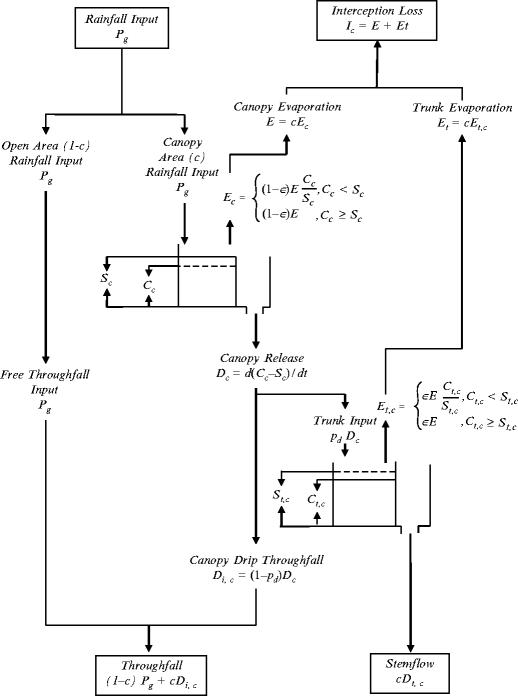 Rainfall Interception Loss by Forest Canopies | SpringerLink