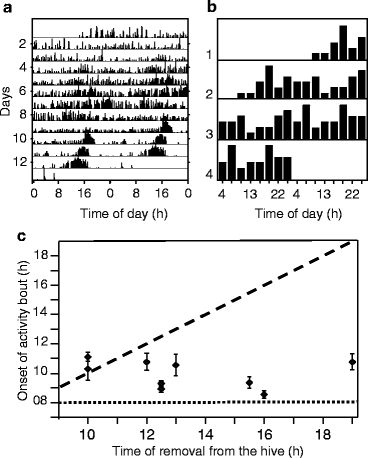 Circadian Rhythms and Sleep in Honey Bees | SpringerLink