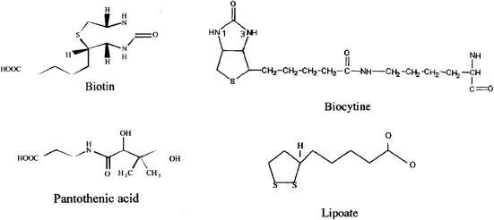 Biotin: Biochemical, Physiological and Clinical Aspects | SpringerLink