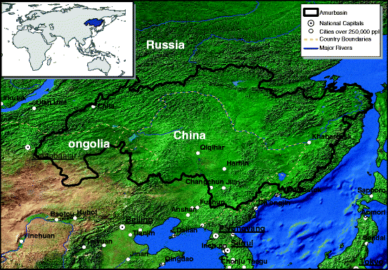 Water Management and Use in the Amur-Heilong River Basin: Challenges ...
