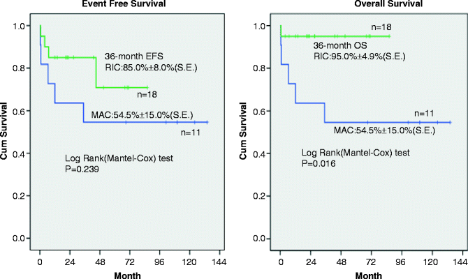 Current Diagnosis and Treatment Strategy for Chronic Active Epstein ...