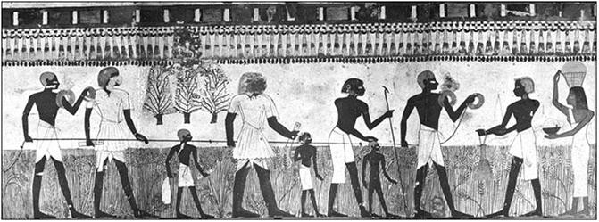Surveying in Ancient Egypt | SpringerLink