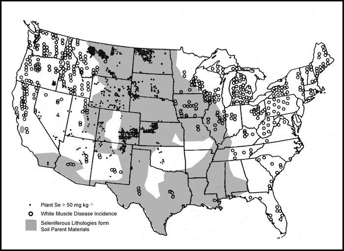 Selenium Deficiency and Toxicity in the Environment | SpringerLink