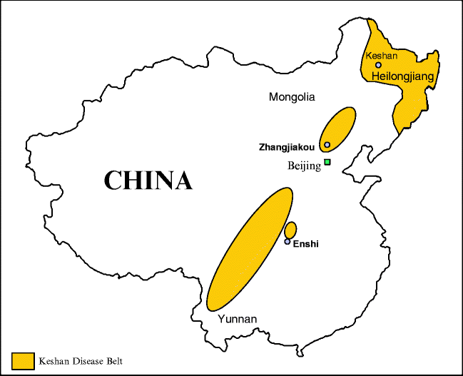 Selenium Deficiency and Toxicity in the Environment | SpringerLink