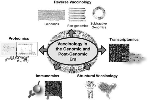 Design of New Vaccines in the Genomic and Post-genomic Era | SpringerLink