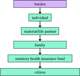 The German Healthcare System | SpringerLink