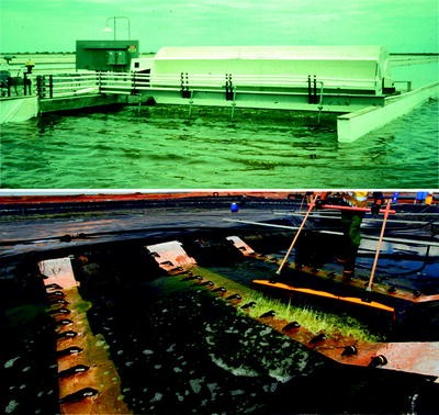 Open Pond Culture Systems | SpringerLink