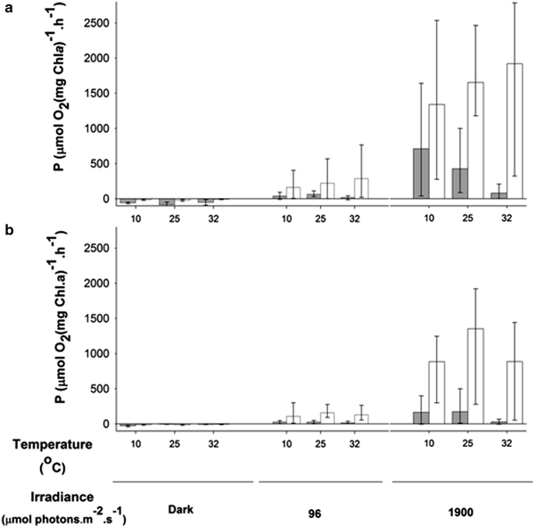 Open Pond Culture Systems | SpringerLink