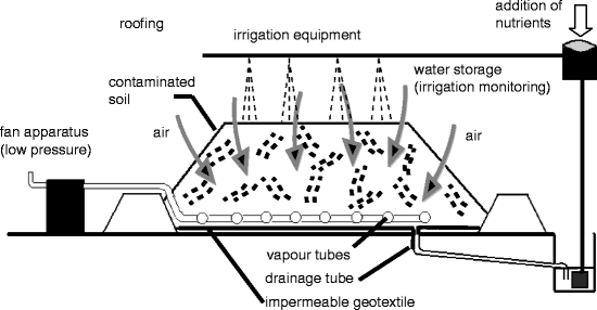 Soil Decontamination | SpringerLink