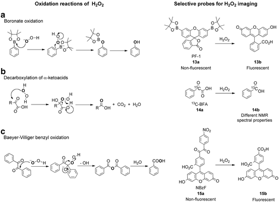 The Chemistry of Thiol Oxidation and Detection | SpringerLink