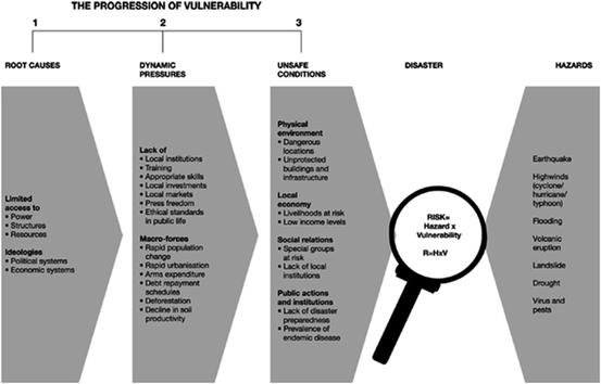 Hazards, Risk, and Vulnerability | SpringerLink