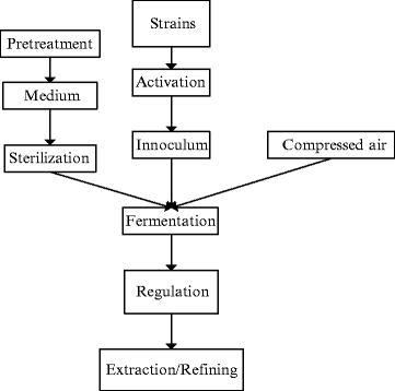 Aerobic Solid-State Fermentation | SpringerLink
