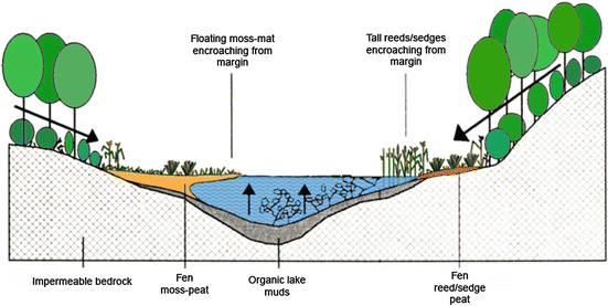 Peatland (Mire Types): Based on Origin and Behavior of Water, Peat ...