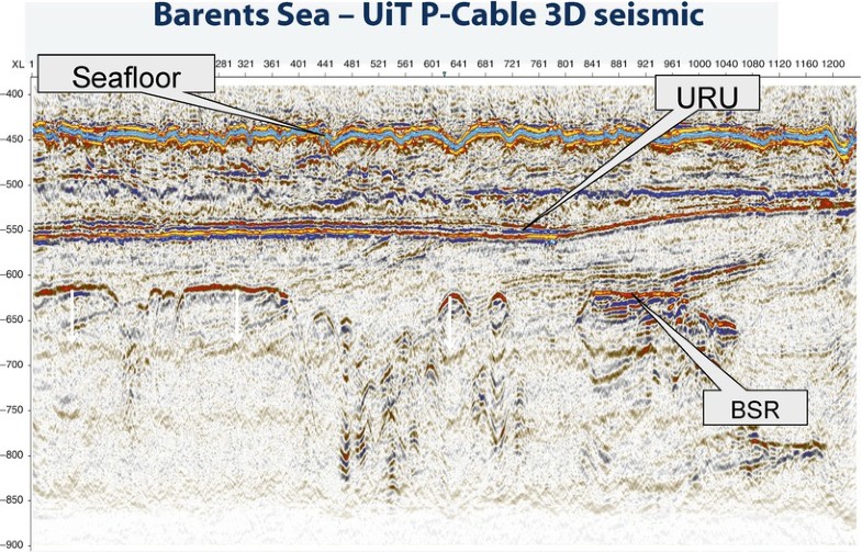 Bottom-Simulating Seismic Reflectors (BSRs) | SpringerLink
