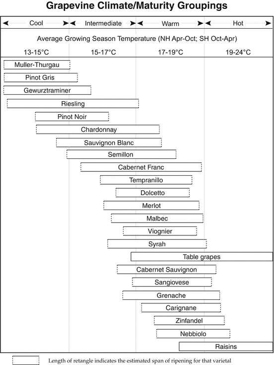 Winegrape Phenology | SpringerLink