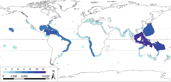 The Ecology of Box Jellyfishes (Cubozoa) | SpringerLink