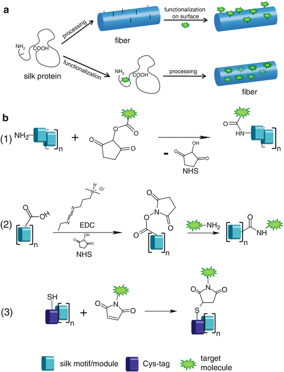 The Power of Recombinant Spider Silk Proteins | SpringerLink