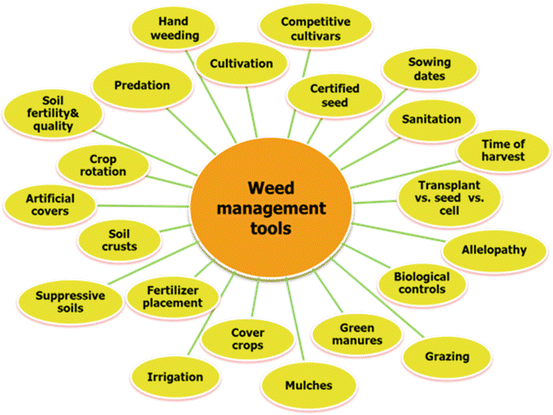 Current State of Weed Management in Organic and Conventional Cropping ...