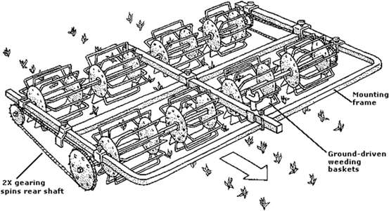 Automated Mechanical Weeding | SpringerLink