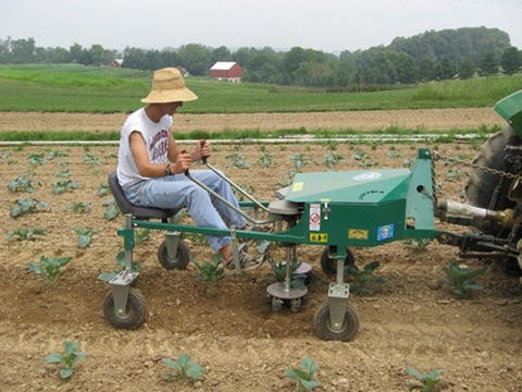 Automated Mechanical Weeding | SpringerLink