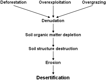 Physical Deterioration of Soil | SpringerLink