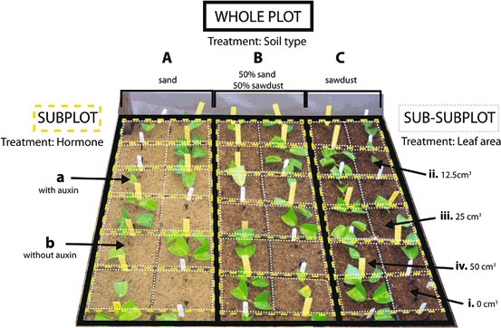 Experimental Design in Agroforestry | SpringerLink
