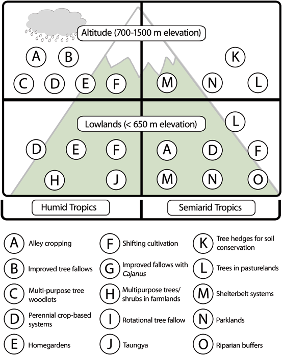 Definitions and Classification of Agroforestry Systems | SpringerLink