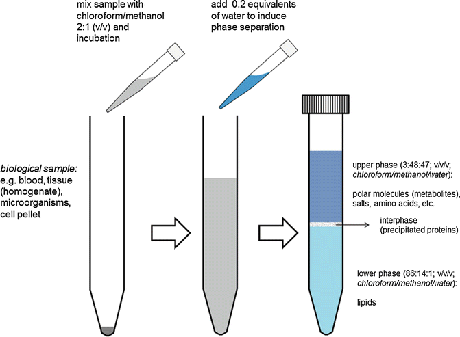Liquid Extraction: Folch | SpringerLink