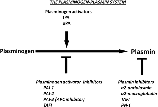 Components of the Plasminogen-Plasmin System as Biologic Markers for ...
