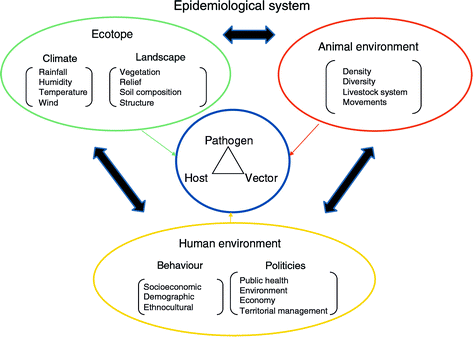 Climate Change and Vector-Borne Diseases | SpringerLink