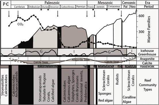 Reefs Through Time: An Evolutionary View | SpringerLink