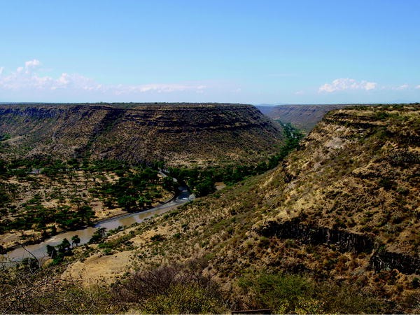 Ethiopian Rivers | SpringerLink