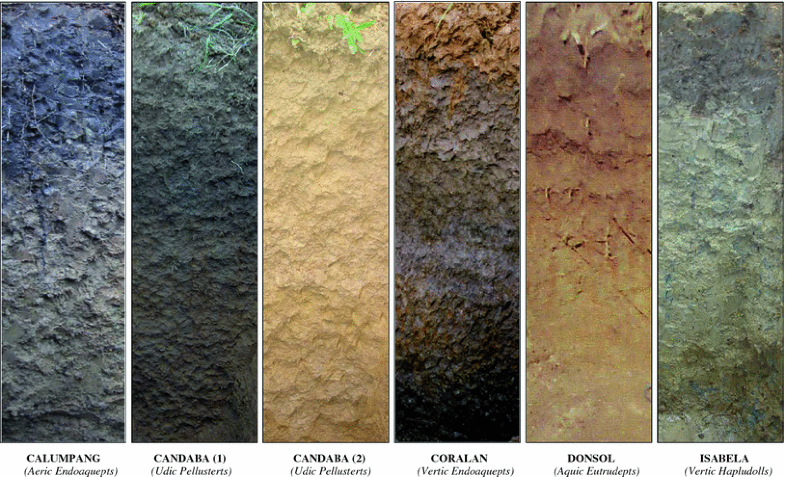 The Soils of the Lowlands | SpringerLink