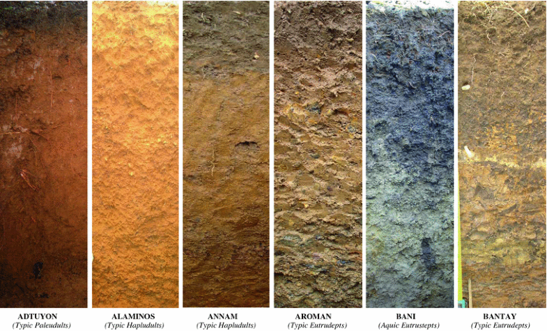 The Soils of the Uplands | SpringerLink