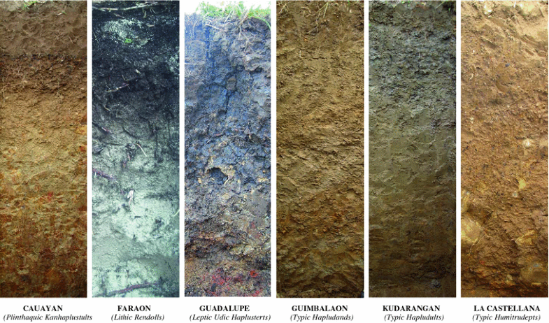 The Soils of the Uplands | SpringerLink