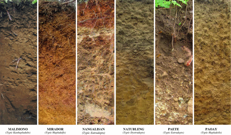The Soils of the Hills and Mountains | SpringerLink