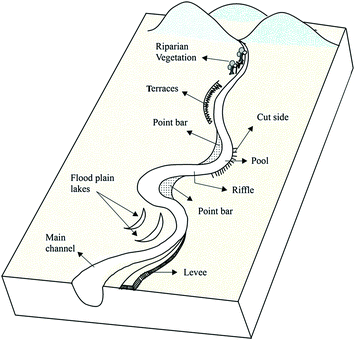 Rivers-Structure and Functions | SpringerLink