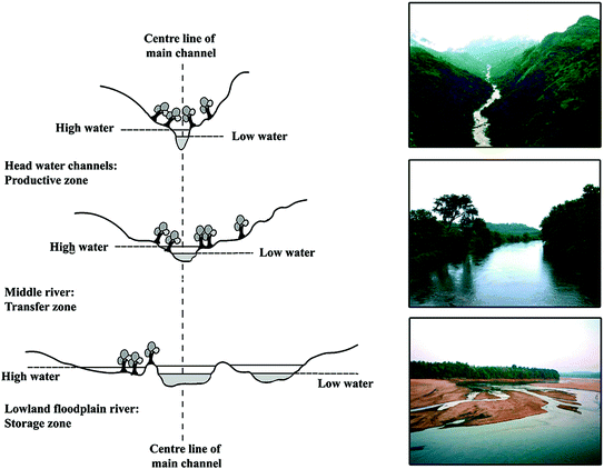 Rivers-Structure and Functions | SpringerLink