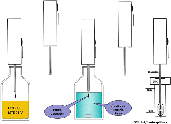 Modern Sample Preparation Techniques for Gas Chromatography-Mass ...