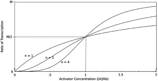 Hill Equation in Modeling Transcriptional Regulation | SpringerLink