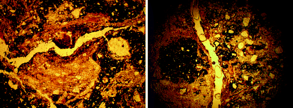 Oxisols and Ultisols | SpringerLink